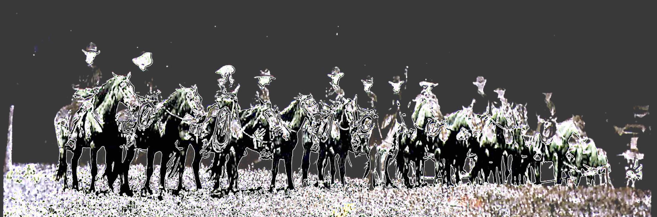 Post 8: Are you a real cowboy? – Rumen Nation